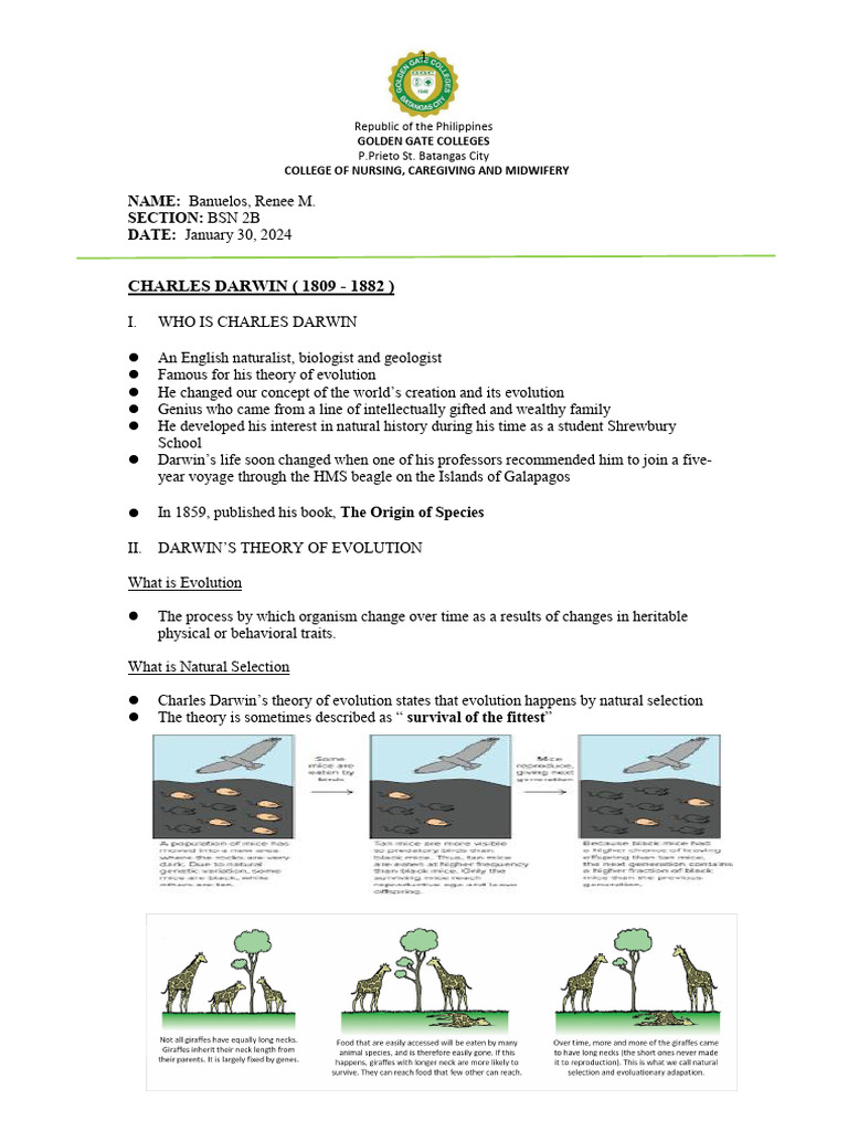 STS Outline | PDF