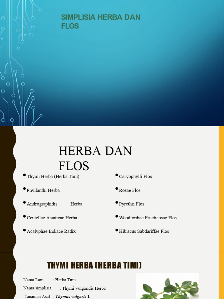 HERBA | PDF