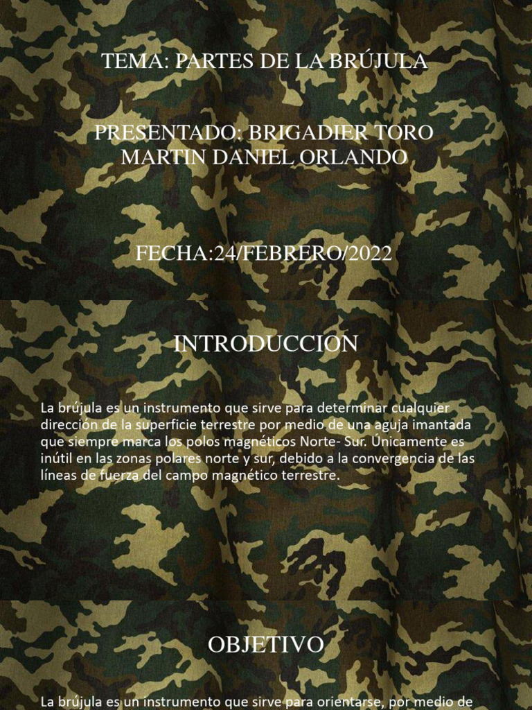 Partes de la Brújula y su Función | PDF | Imán | Brújula
