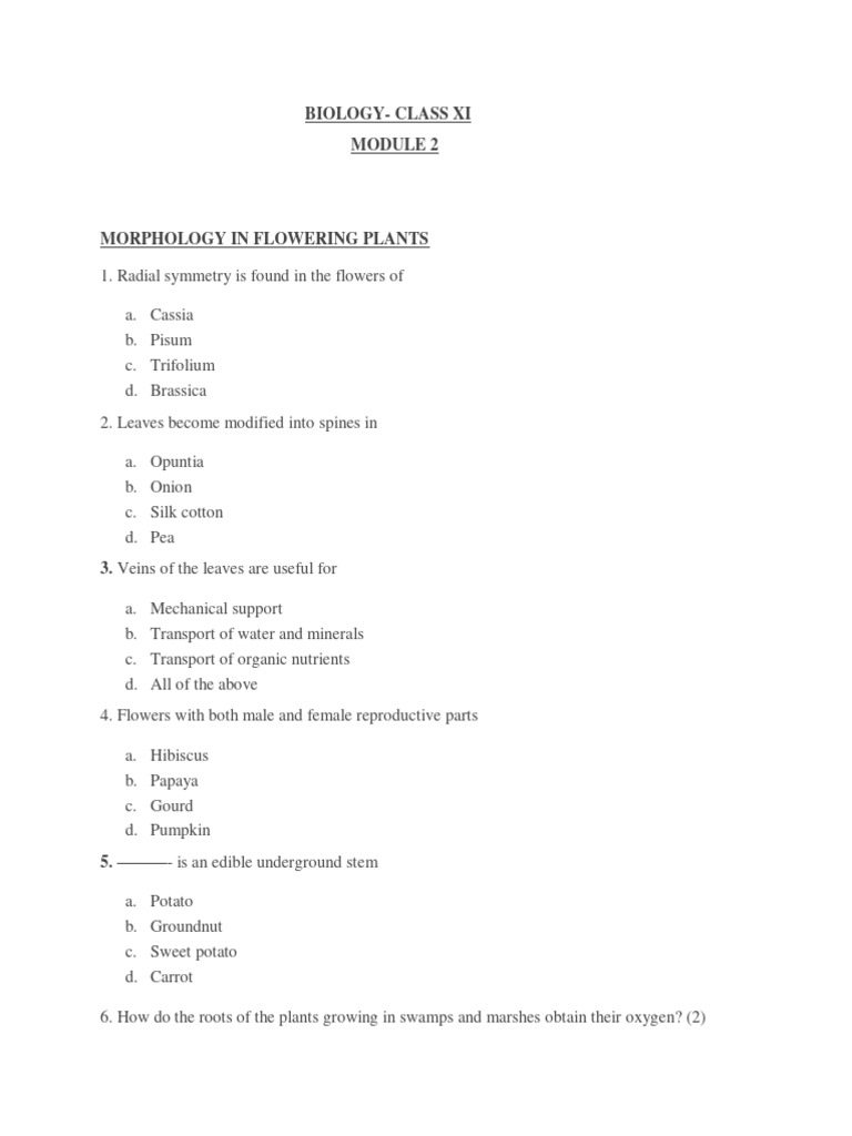 Module 2 Class 11 | PDF | Leaf | Tissue (Biology)