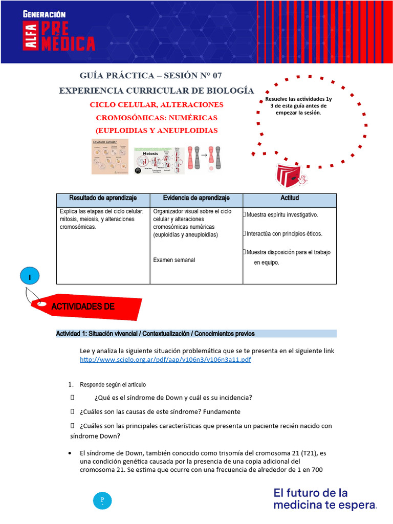 Guía Práctica Sem. 7 2024 1 | PDF | Mitosis | Mitosis