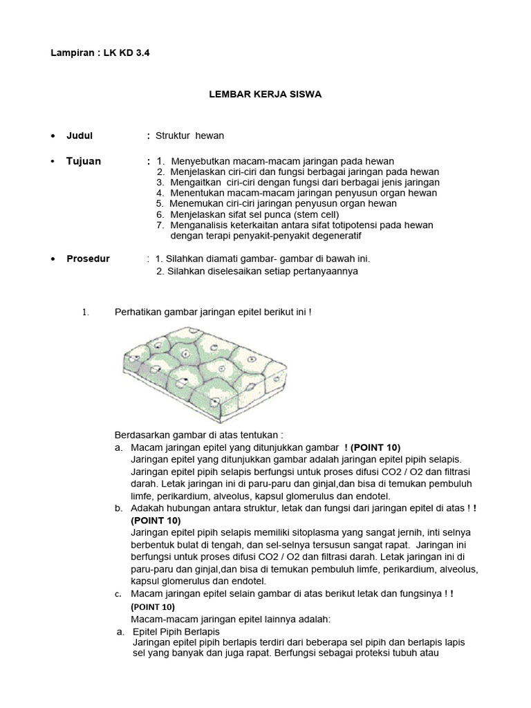 Biologi LK 4 Kelas XII | PDF