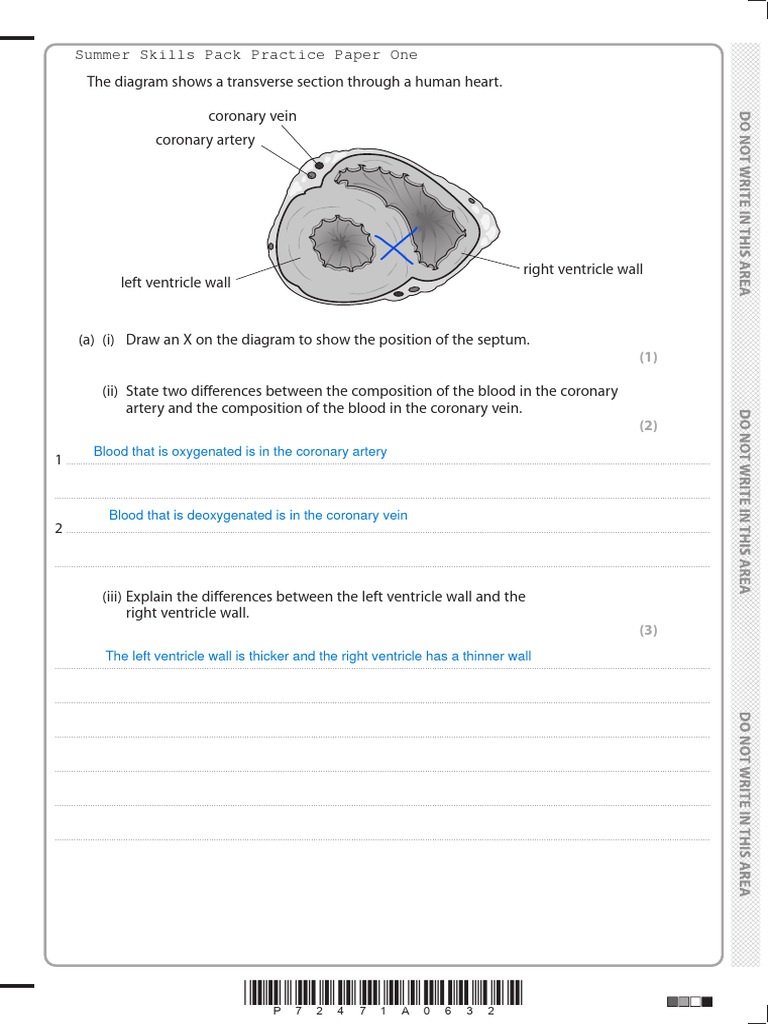 Paper 1 Bio Skills Practise 2023 | PDF | Coronary Circulation | Area