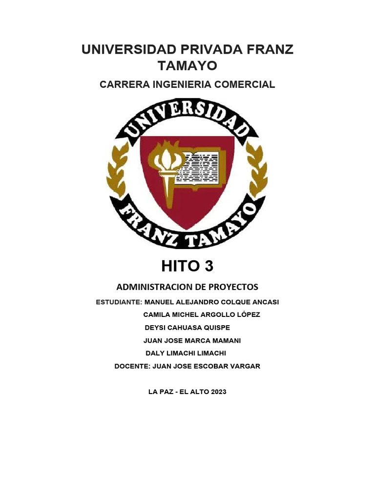 Hito 3 Proyecto | PDF | Producto (Negocio) | Mercado (economía)