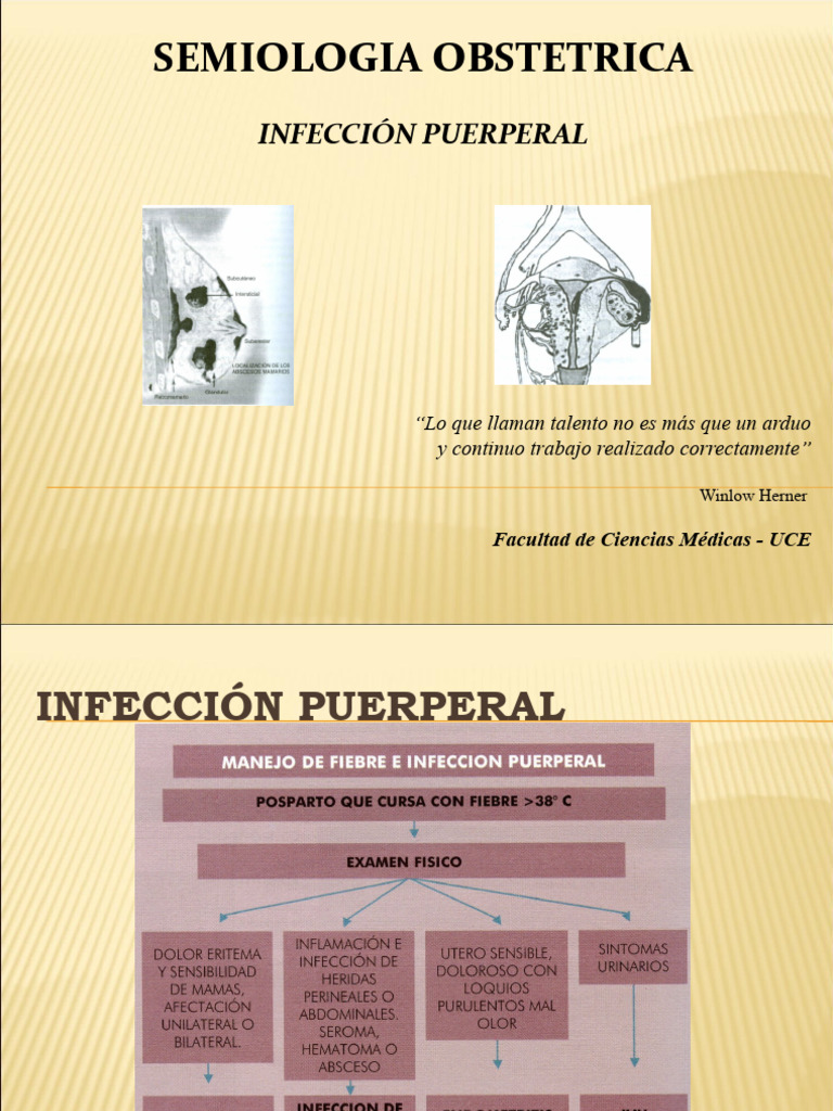 Infección Puerperal: Diagnóstico y Tratamiento | PDF | Parto | Periodo ...