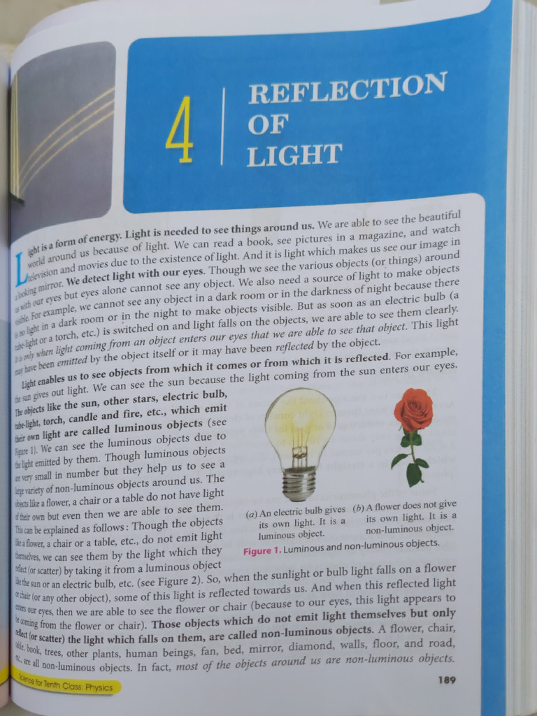 10 Physics Lakhmir Reflection | Download Free PDF | Mirror | Light