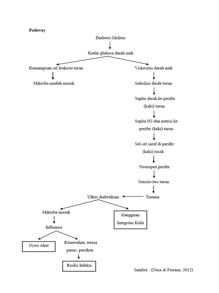 Pathway ULKUS DM | PDF
