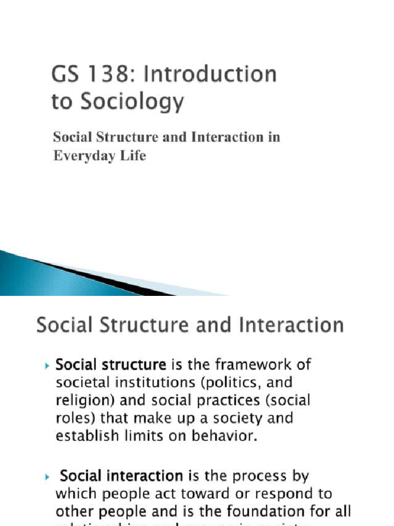 Introduction To Sociology | PDF
