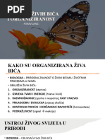 Maseni I Volumni Udio | PDF
