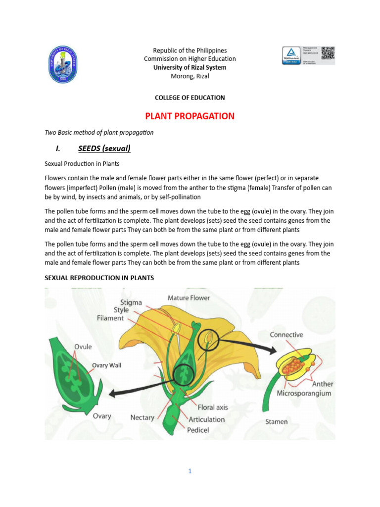 Plant Propagation Module | PDF