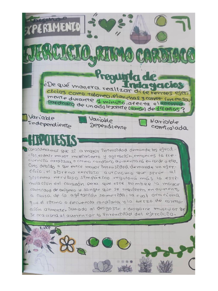 Ejemplar - Informe Indaga 8° | PDF