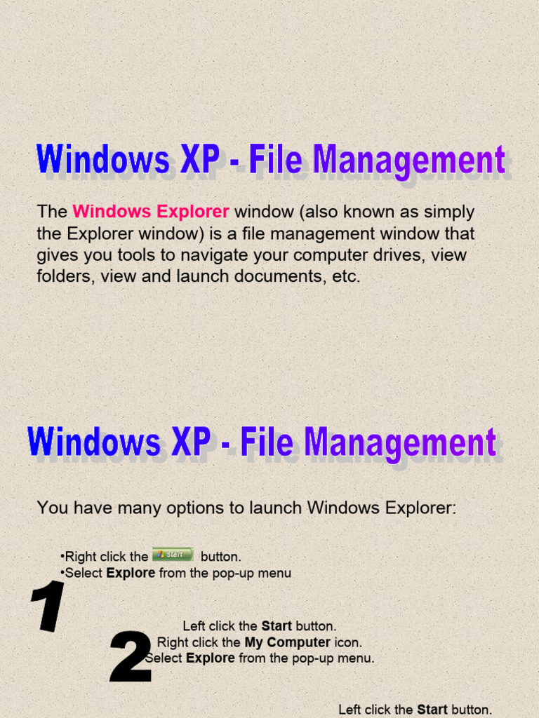 WinXP File Management | Download Free PDF | Computer File | Window (Computing)