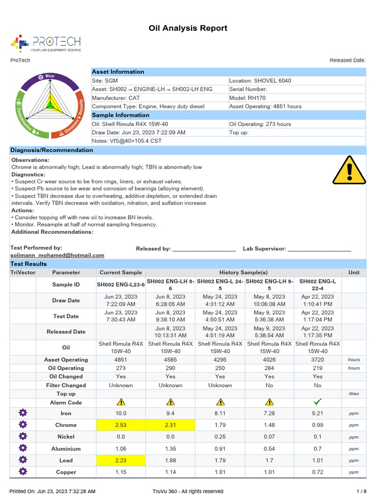 Truvu 360 Report Sh002 Eng-L23-6 | PDF | Metallic Elements | Chemical ...