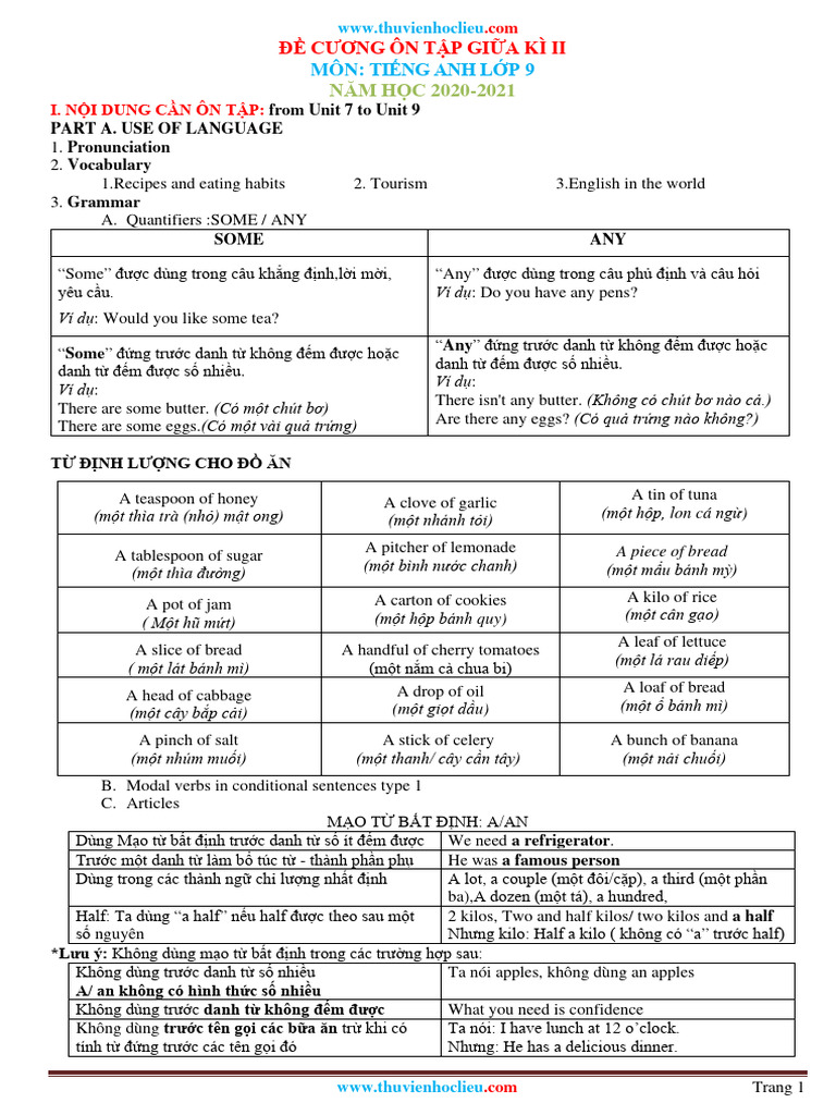 De Cuong On Tap Giua HK2 TIENG ANH 9 | PDF