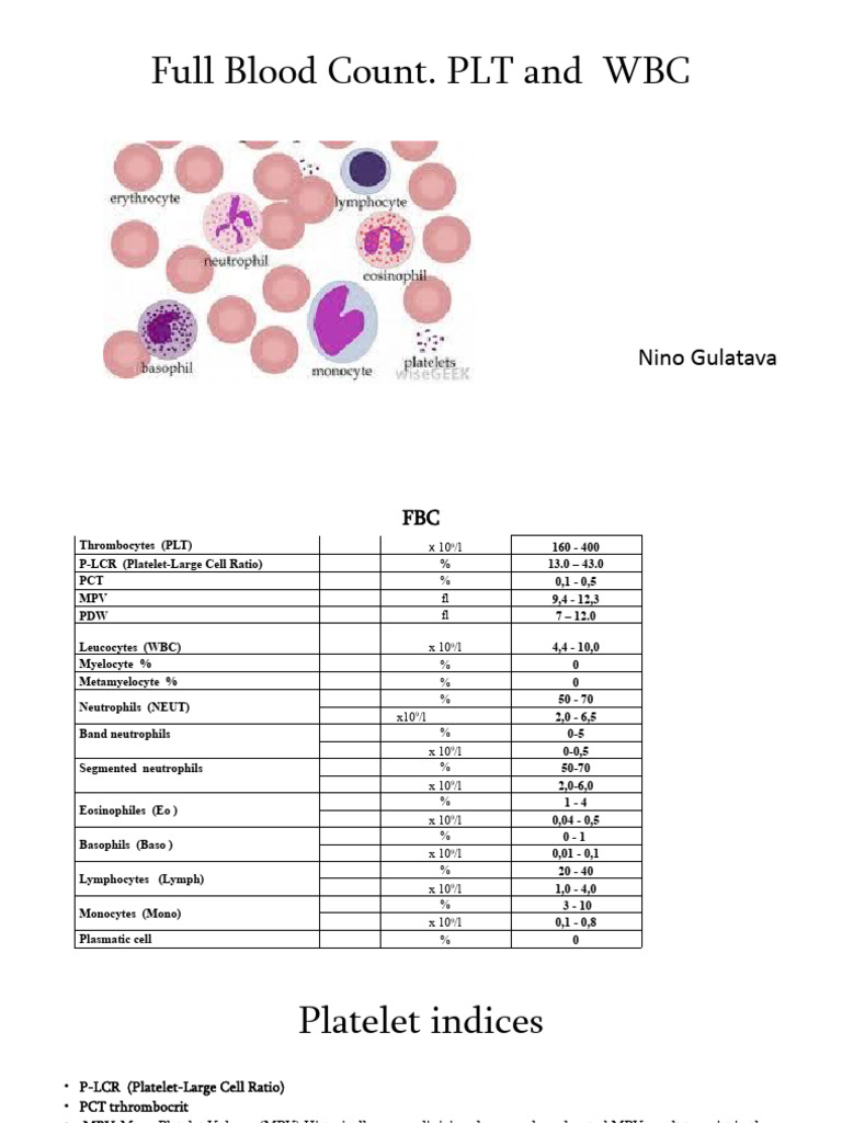 Full Blood Count - PLT.WBC | PDF | White Blood Cell | Lymphocyte