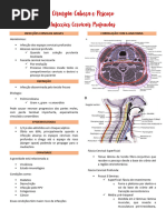 HINTS para Diagnóstico de Vertigem | PDF | Vertigem | Sistema vestibular