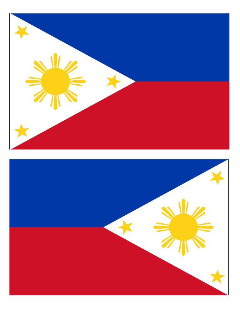 NSTP Flaglets 3 | PDF