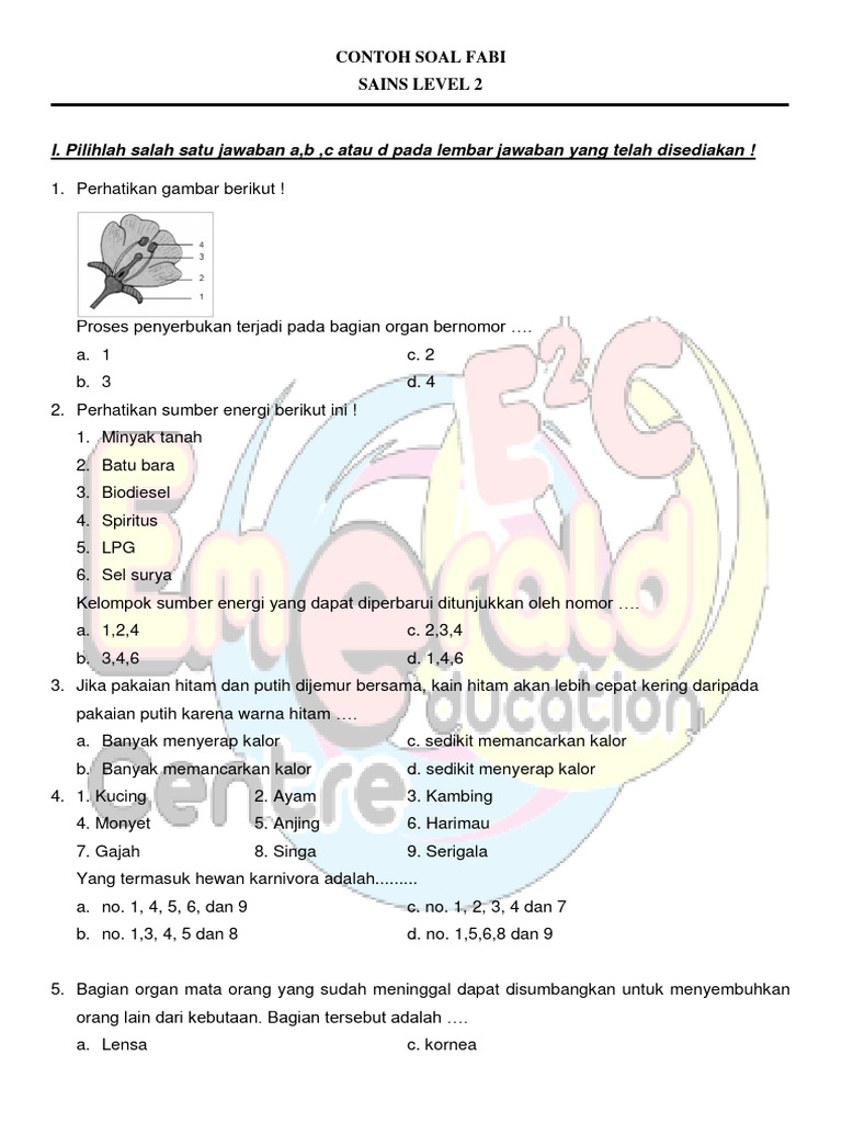 CONTOH SOAL FABI S 2 | PDF