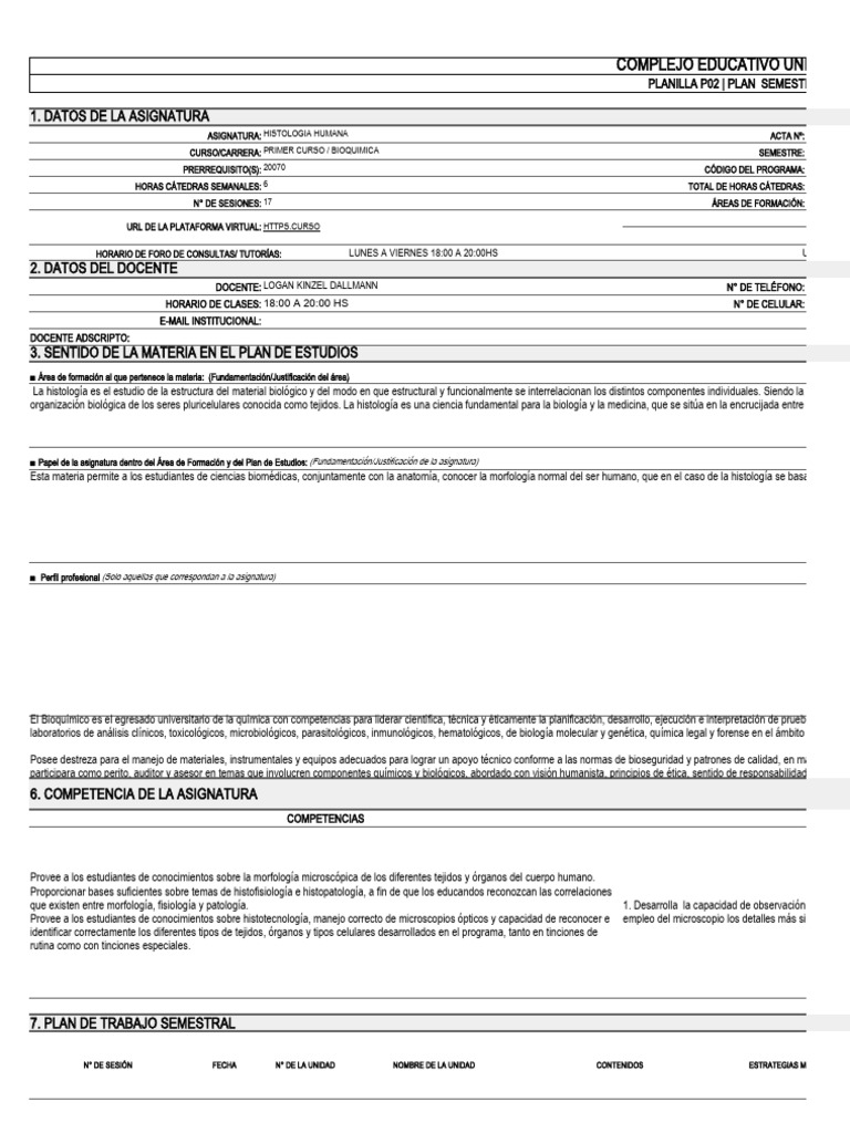 Ejemplo Del Plan Semestral | PDF