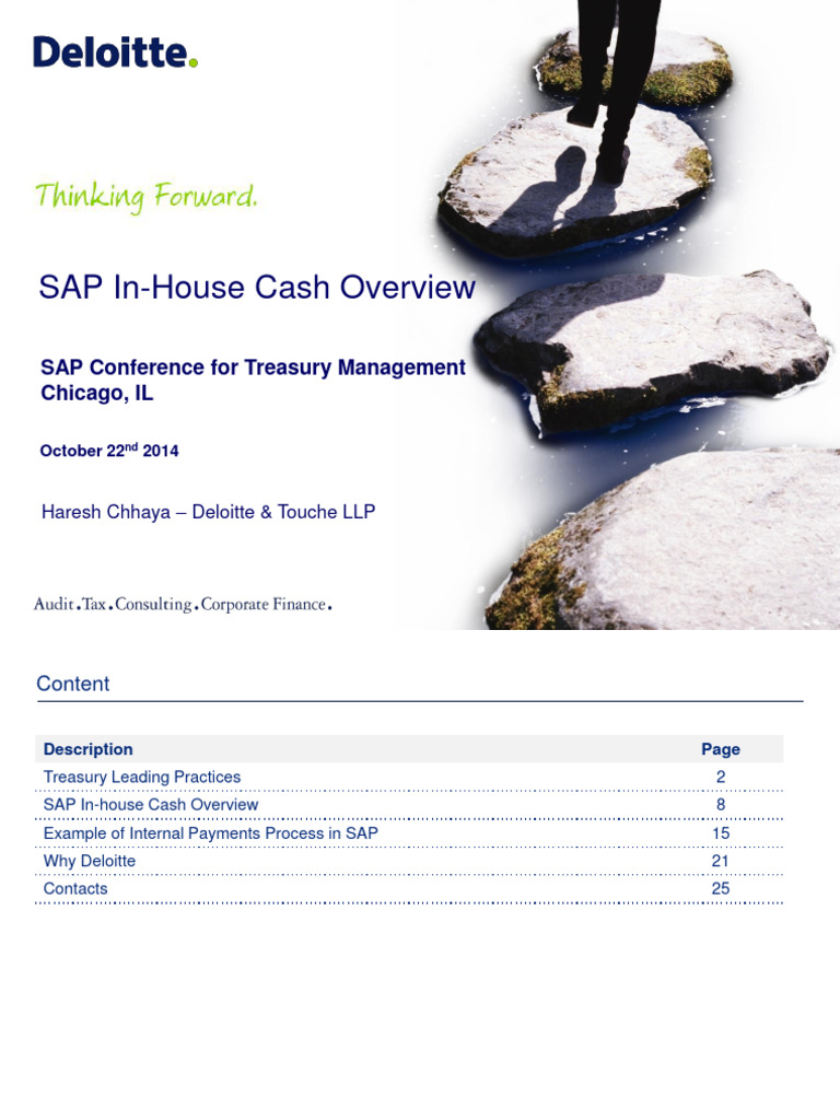 SAP Treasury IHC Overview | PDF