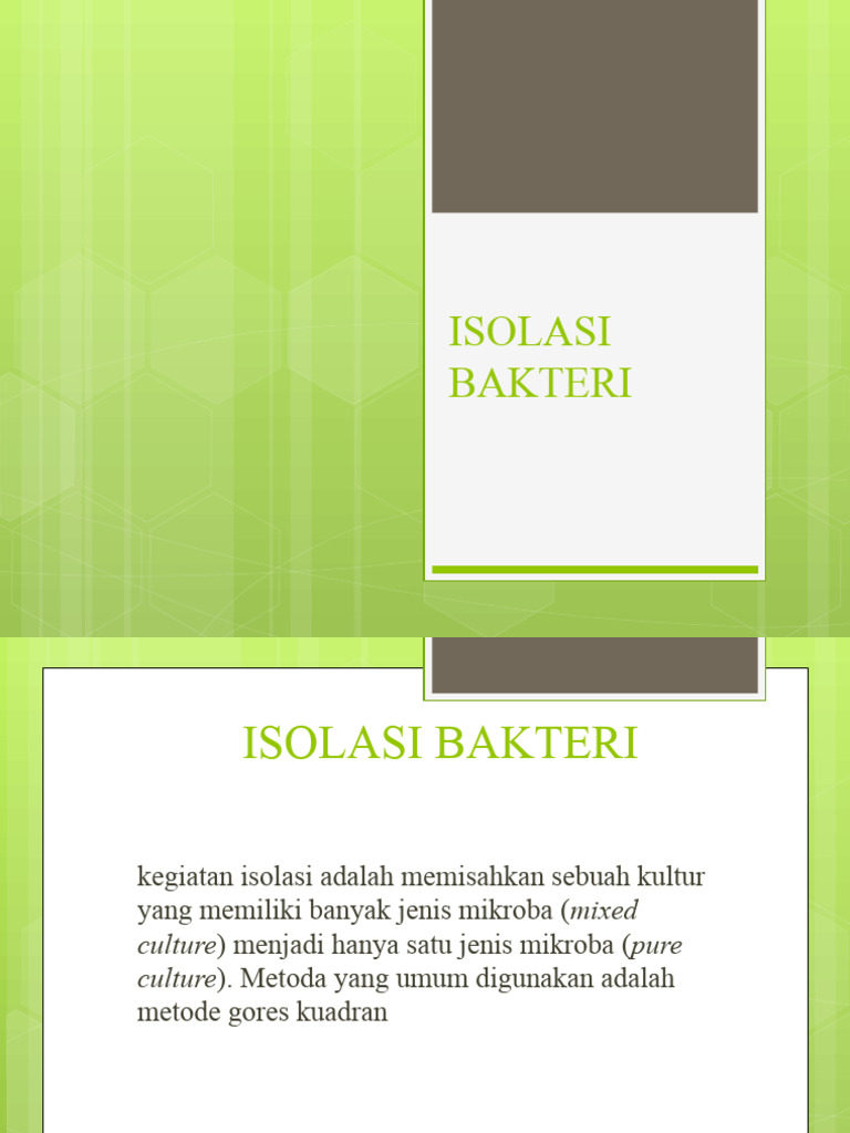 Isolasi Bakteri1 | PDF