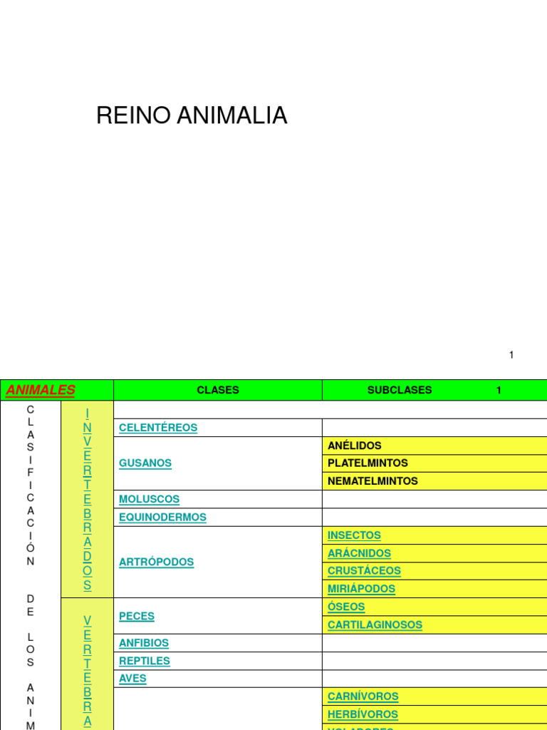 Reino Animalia | PDF | Aves | Mamíferos