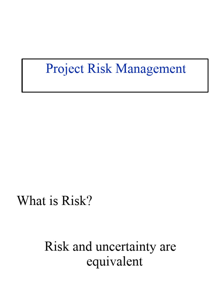 Project Risk Management | PDF | Risk | Risk Management
