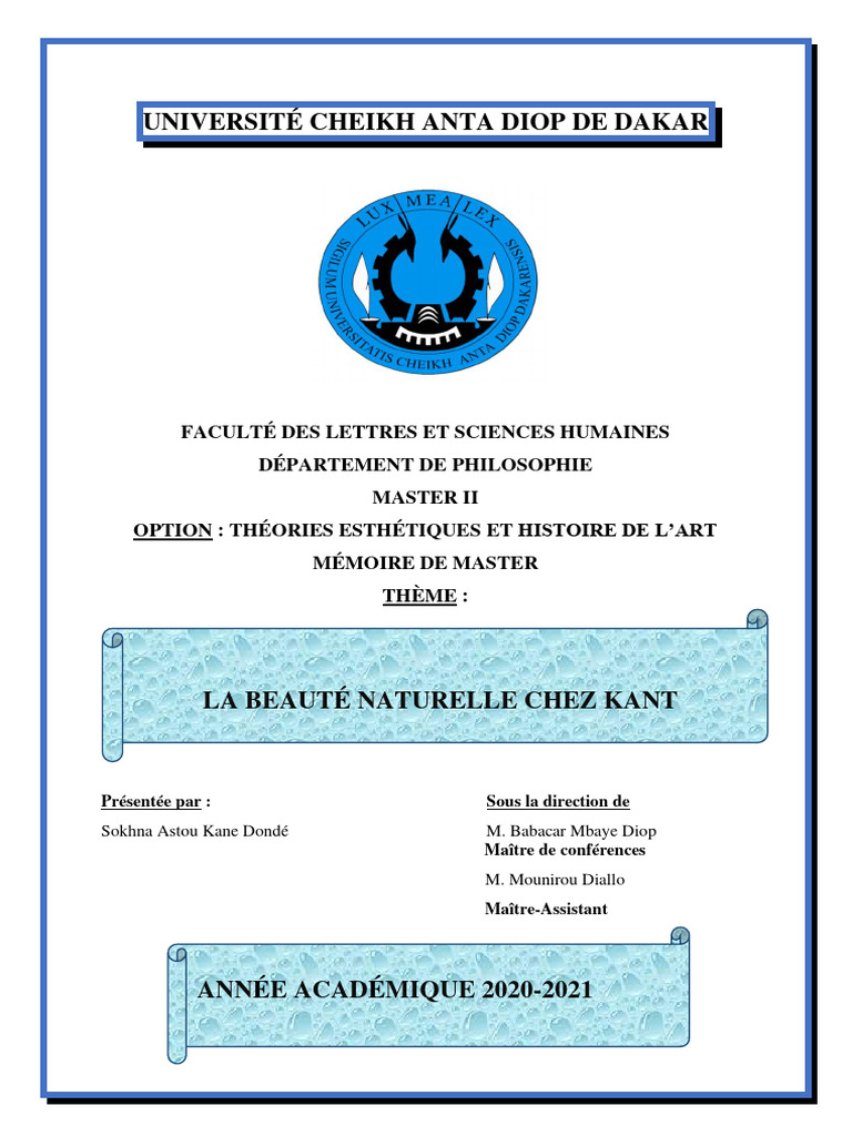 Travail Corrigé Du Mémoire Après Soutenance Du Master | PDF