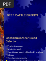 Official List of Breed Codes For Bovine: Beef Breeds | PDF | Livestock | Mammal Breeds