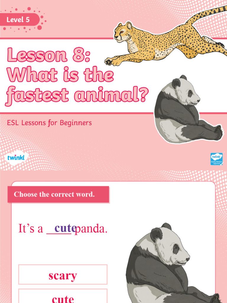 Adjectives for Beginners: ESL Guide | PDF | Adjective | Linguistics