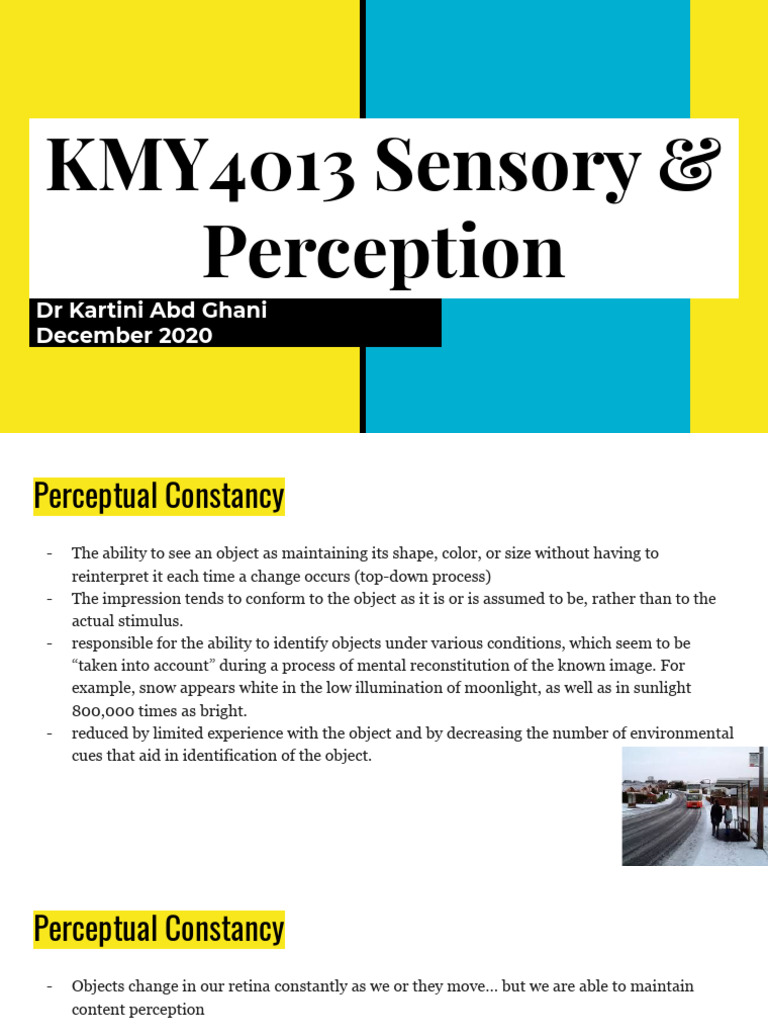 Perceptual Constancy & Depth Perception | PDF | Perception | Cognitive Science