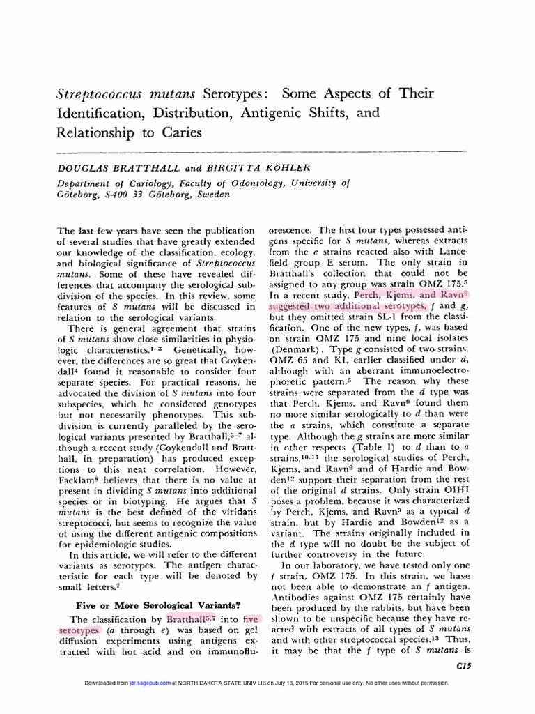 II - Streptococcus Mutans Serotypes Some Aspects of Their ...