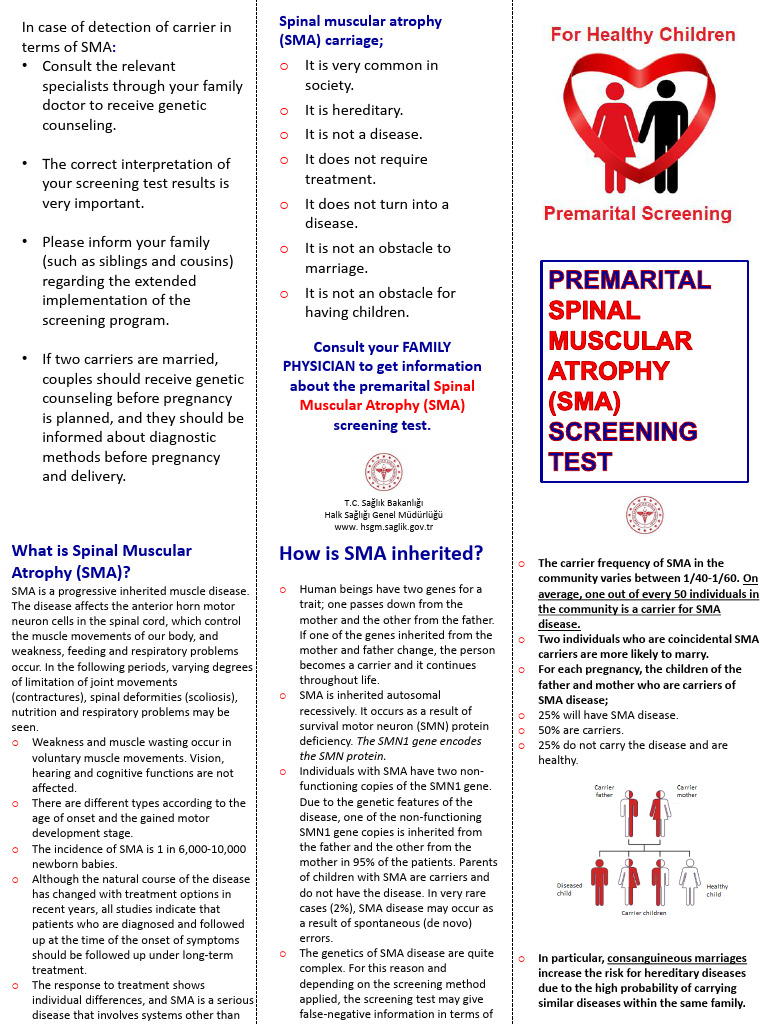 Sma Brosur Ingilizce | PDF | Nervous System | Genetics