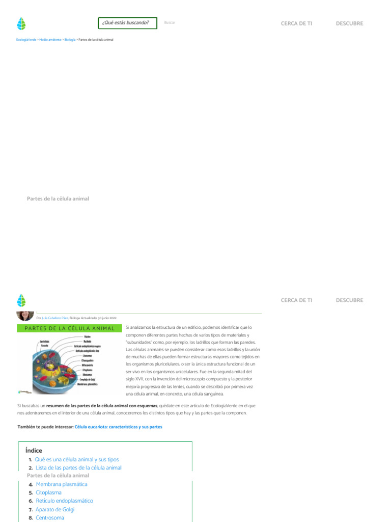 Partes de La Célula Animal y Sus Funciones - ¡Resumen Con Esquemas! | PDF