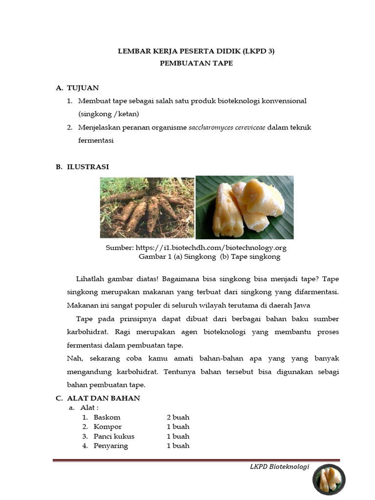 Proses Pembuatan Tape Singkong | PDF