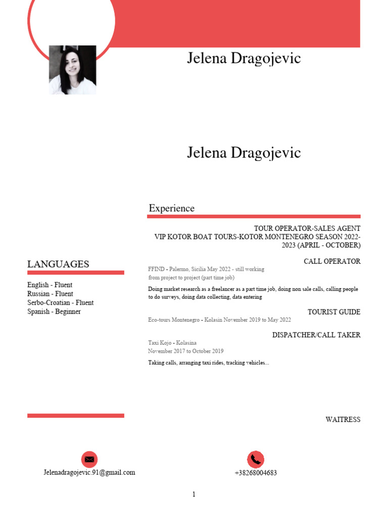 CV Jelena | Download Free PDF | Software | Information Technology