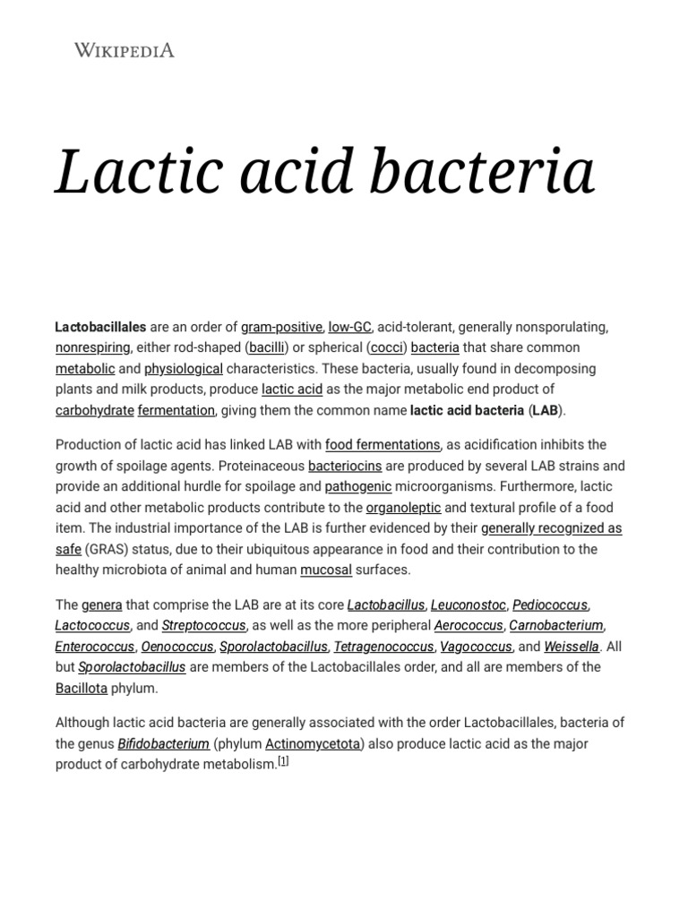 Lactic Acid Bacteria | PDF