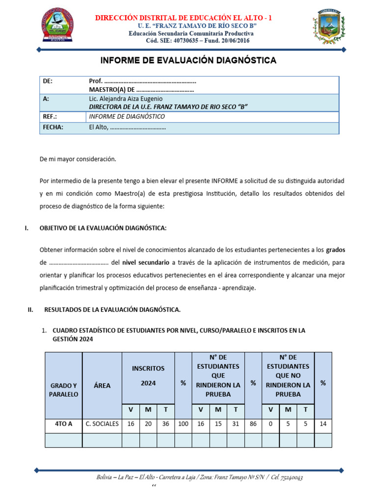 Formato Informe Diagnostico 2024 | PDF