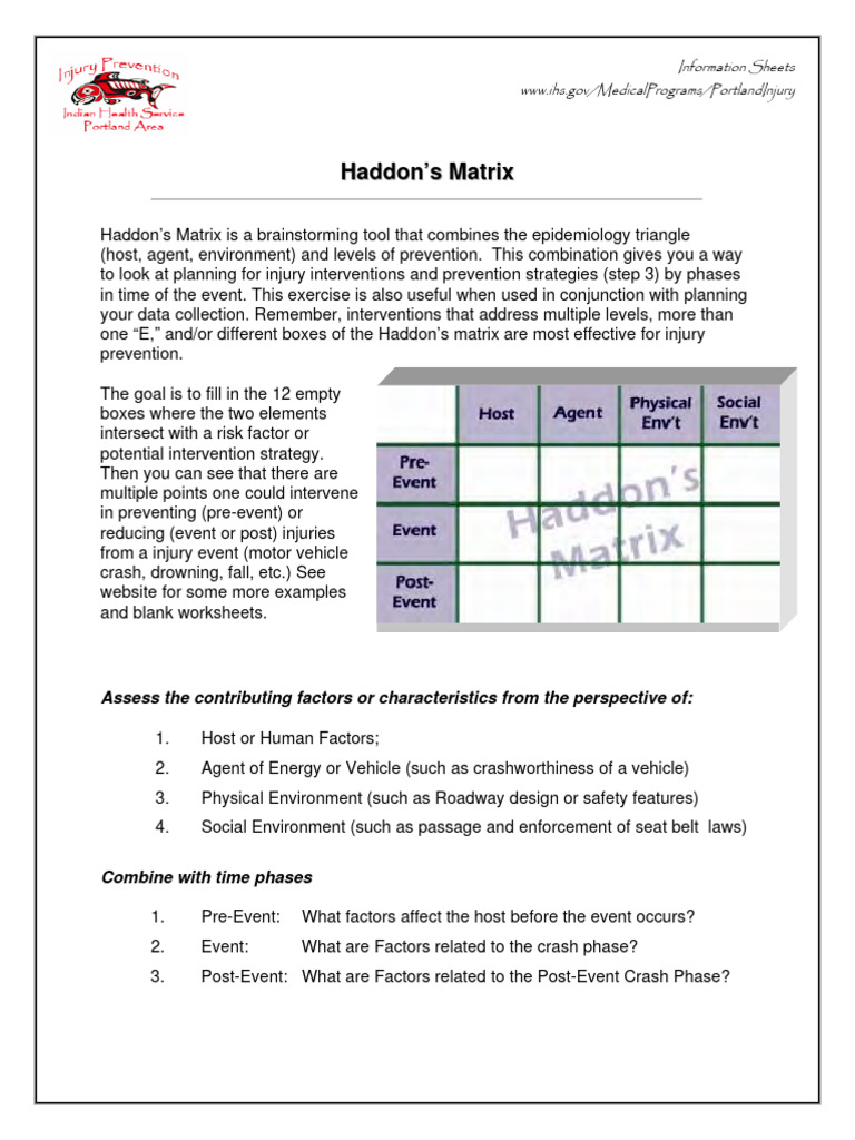 Haddon Matrix Basics | PDF | Injury | Seat Belt