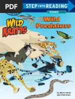 The Mystery of The Pirate Ghost | PDF