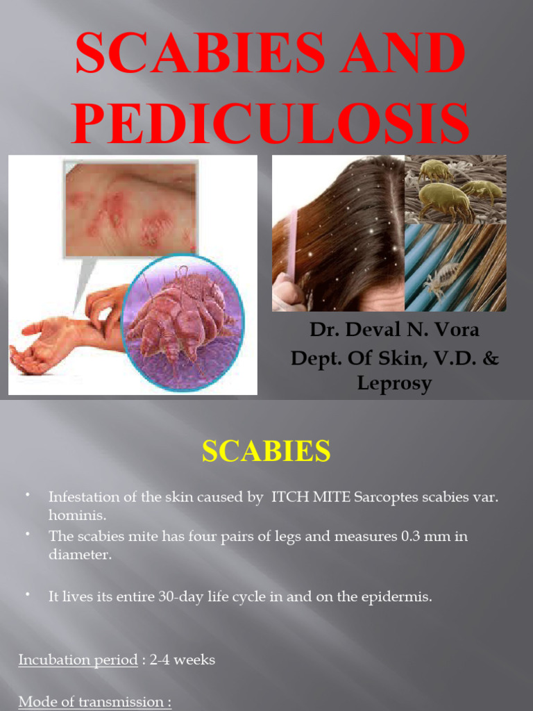 Scabies and Pediculosis Treatment Guide | PDF | Diseases And Disorders ...