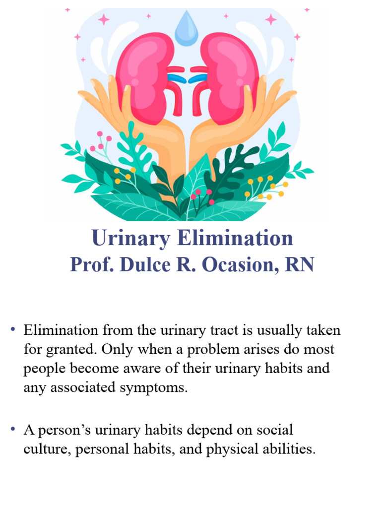 Prof. Dulce R. Ocasion, RN: Urinary Elimination | PDF | Urinary ...