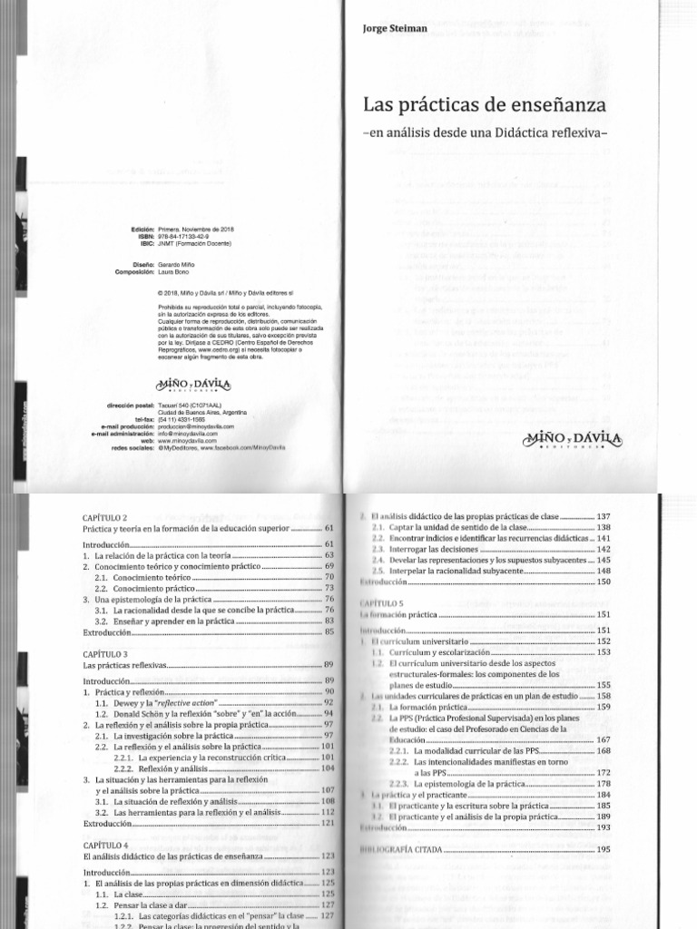Steiman, Jorge. Las Prácticas de Enseñanza. Cap. 4 | PDF