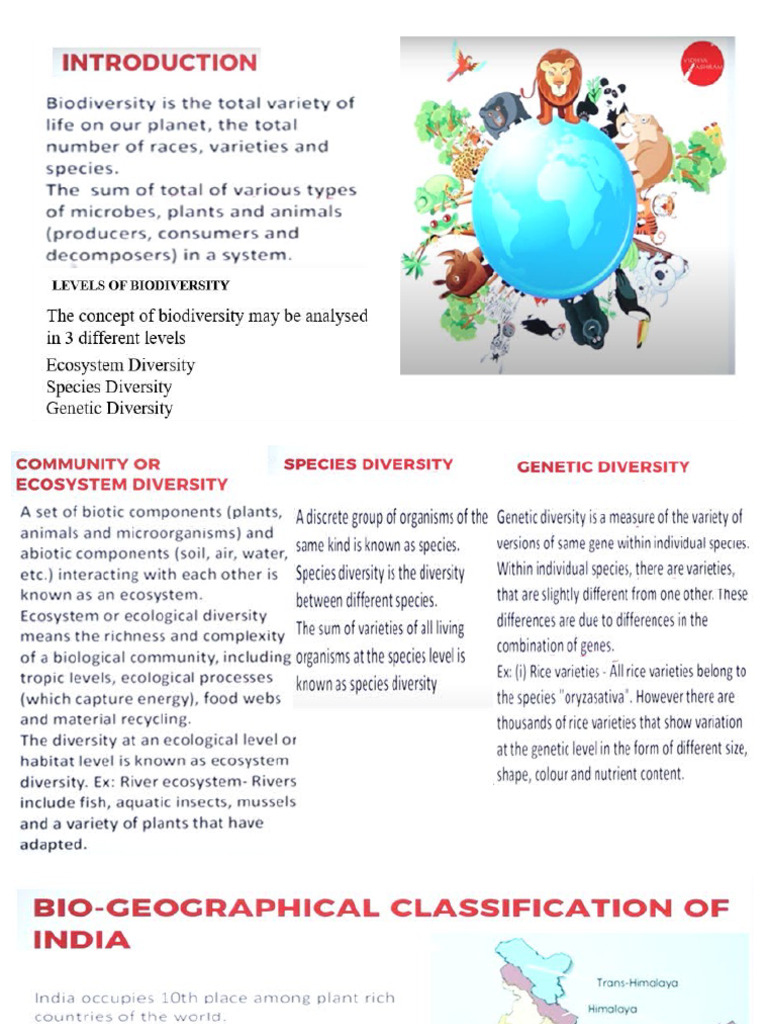 Biodiversity Pdf Ecosystem Soil