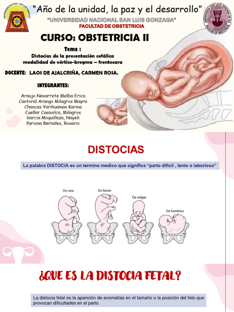 SSESIONN4 | PDF | Parto | Feto