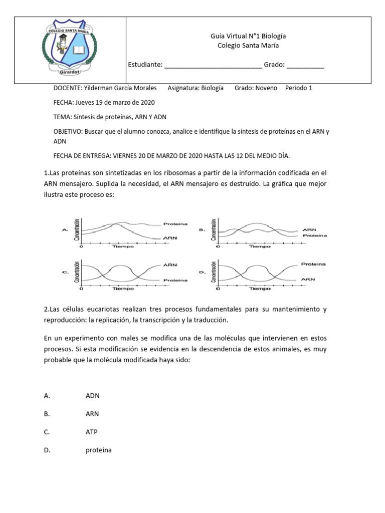 Guía Virtual N°1 Sintesis de Proteinas Del ADN Y ARN | PDF | Rna ...