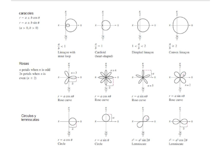 Curvas Polares | PDF