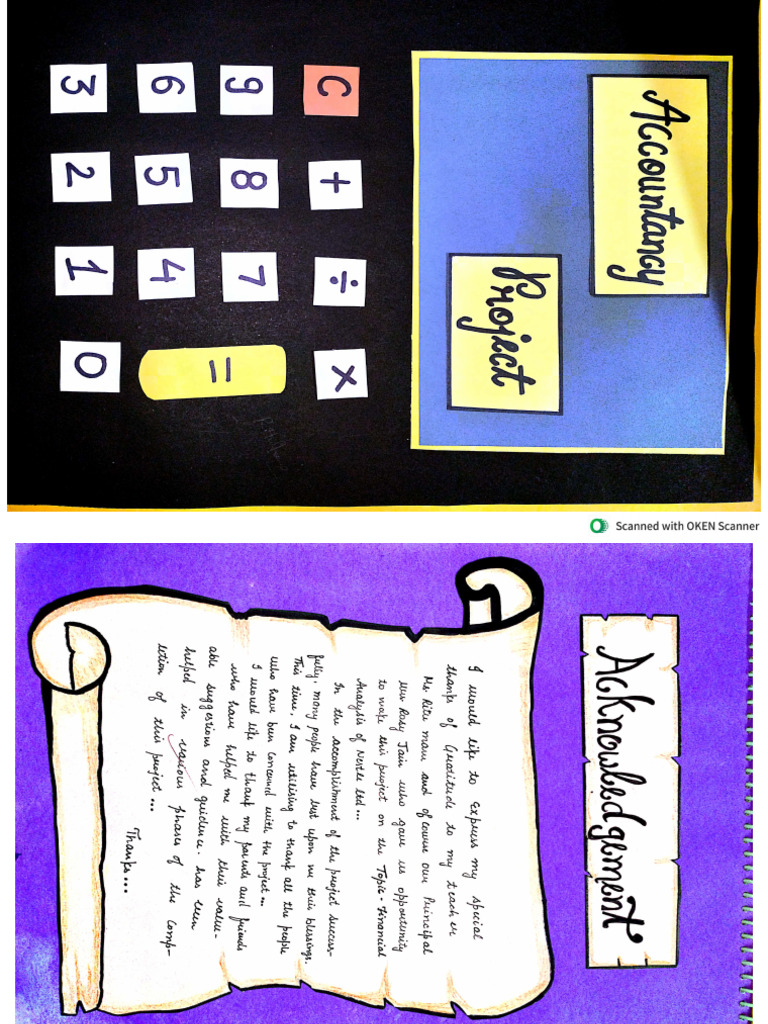 Acc Project 12 Commerce | PDF