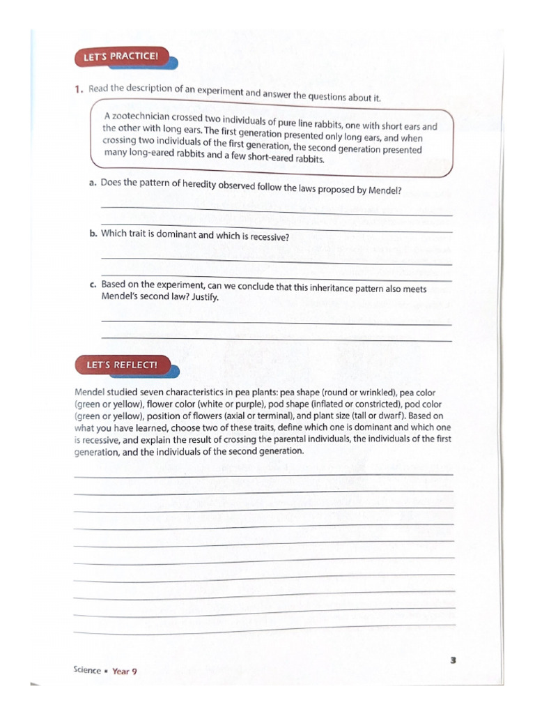 Let's Practice! 2 | PDF