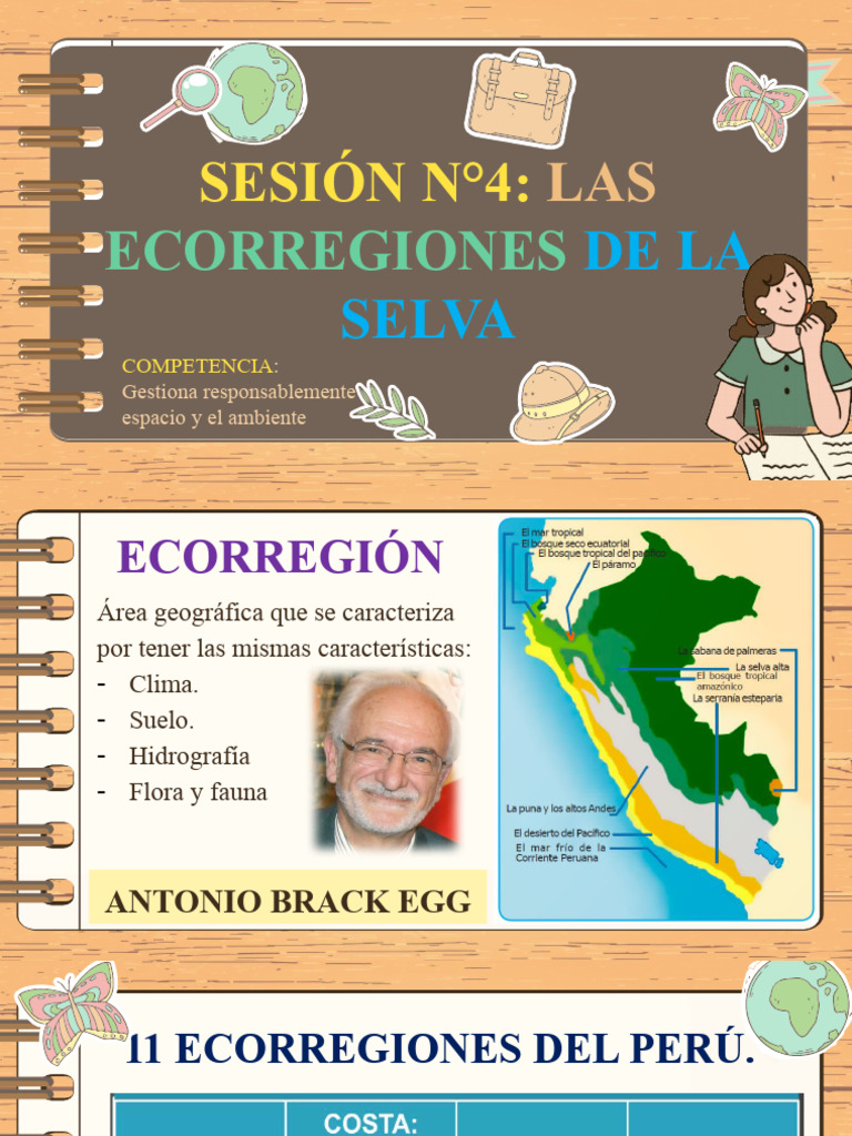 Sesión N°4 - Las Ecorregiones de La Selva | PDF